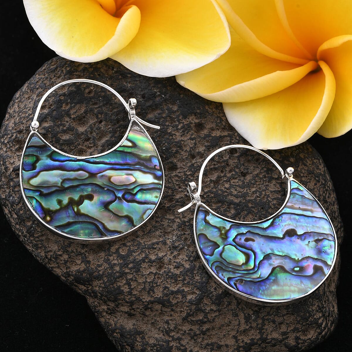 Buy Abalone Shell Earrings in Sterling Silver at ShopLC.