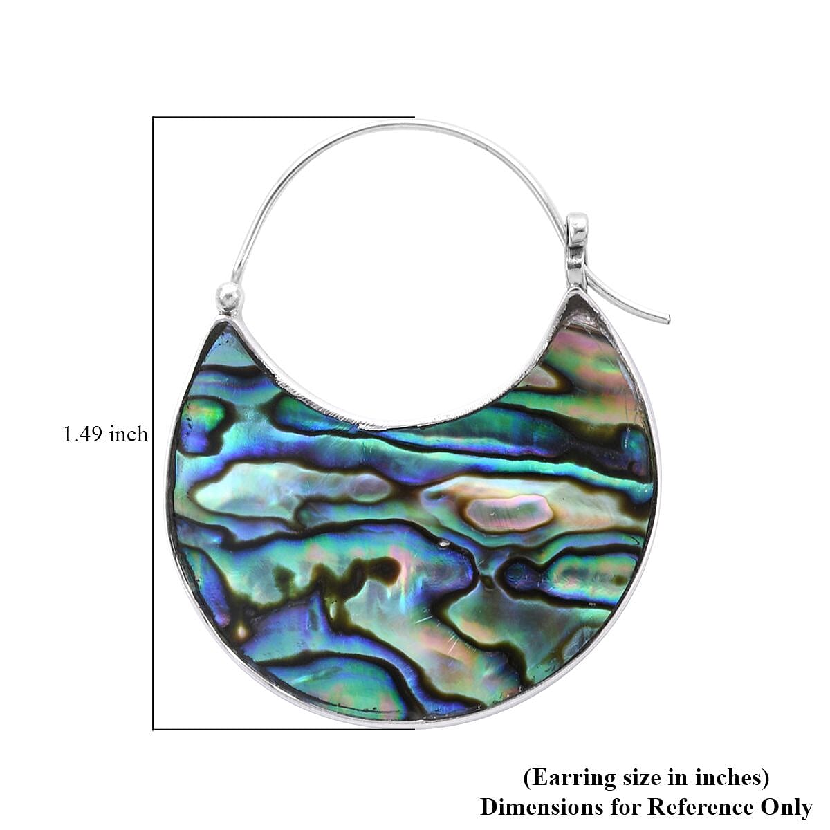 Buy Abalone Shell Earrings in Sterling Silver at ShopLC.